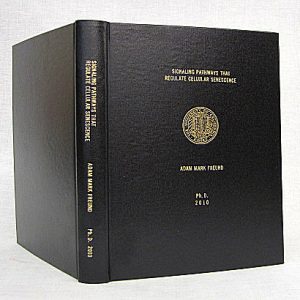 Digital Laser Printing – Starmark Ph